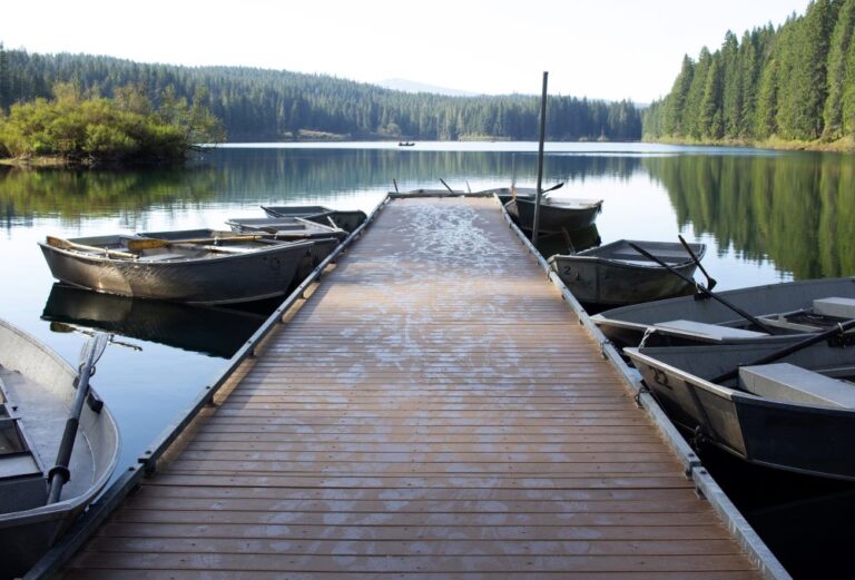 Common Dock Repair Issues & How to Solve Them | Foothills Dock Repair