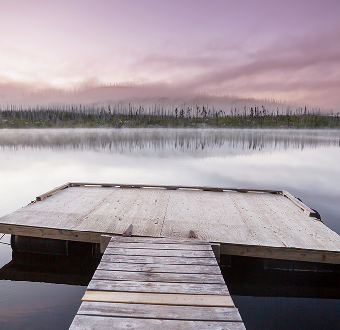 8 Steps for Replacing Damaged Dock Pilings | Foothills Docks